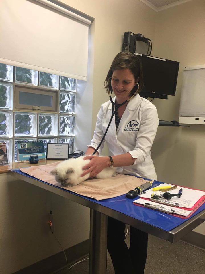 Becoming a Fear-Free Practice - Seattle Veterinary Associates